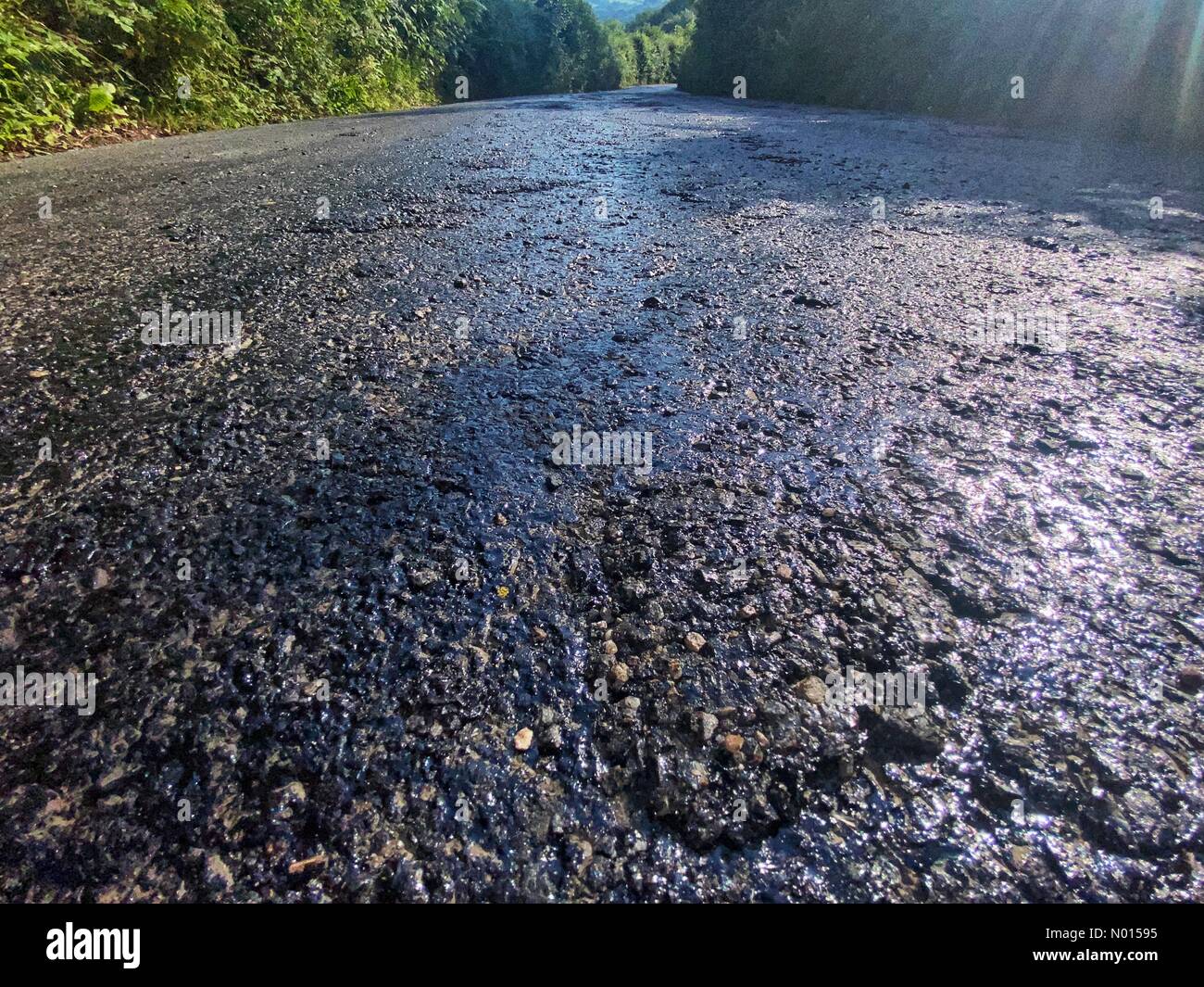 Tick lane hi-res stock photography and images - Alamy