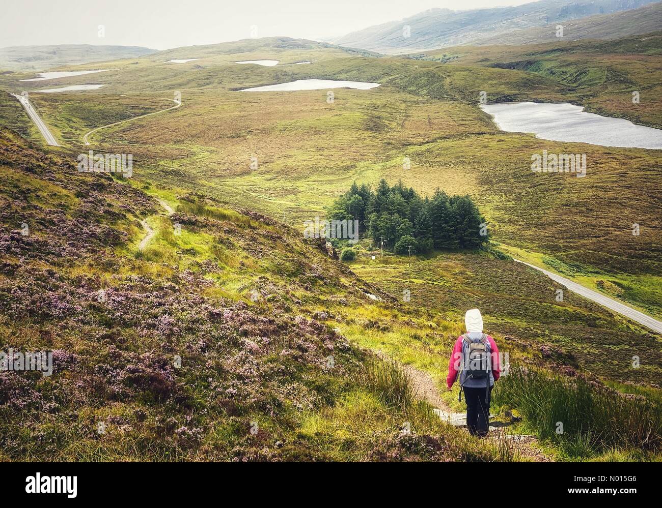 Knockan Crag, Scottish Highlands. 17th Aug 2021. Knockan Crag, Scottish ...