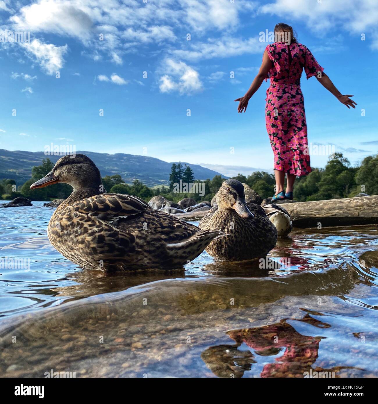 20th august 2021 hi-res stock photography and images - Alamy