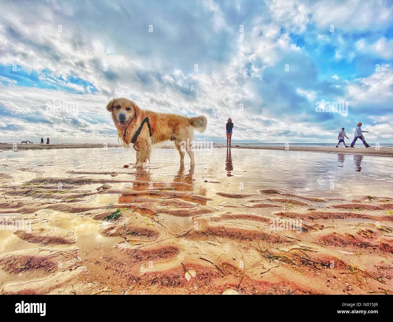 Exmouth beach, Devon, UK. 17th September, 2021. Credit nidpor/Alamy ...