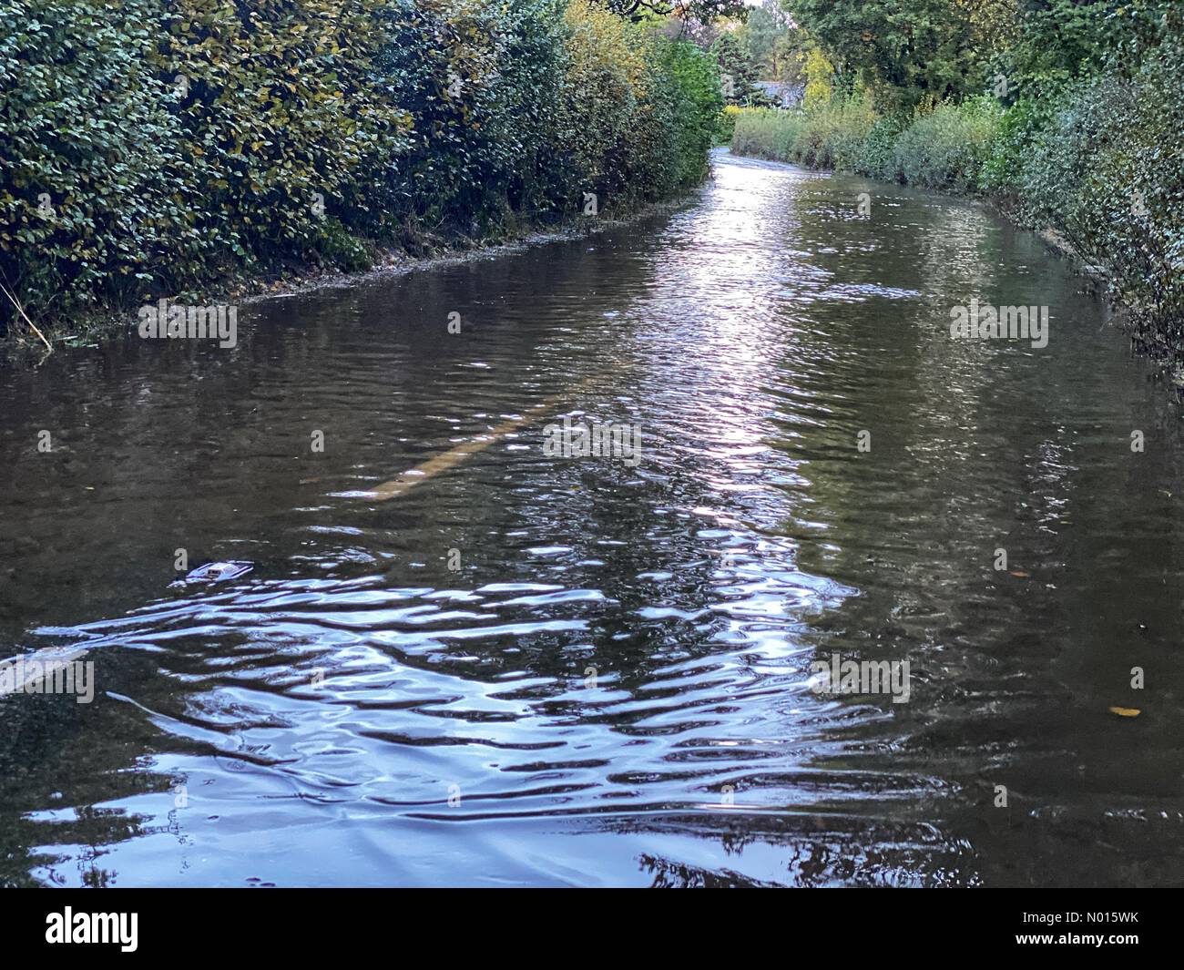 UK Weather: flood on Teign valley road after overnight rains near ...
