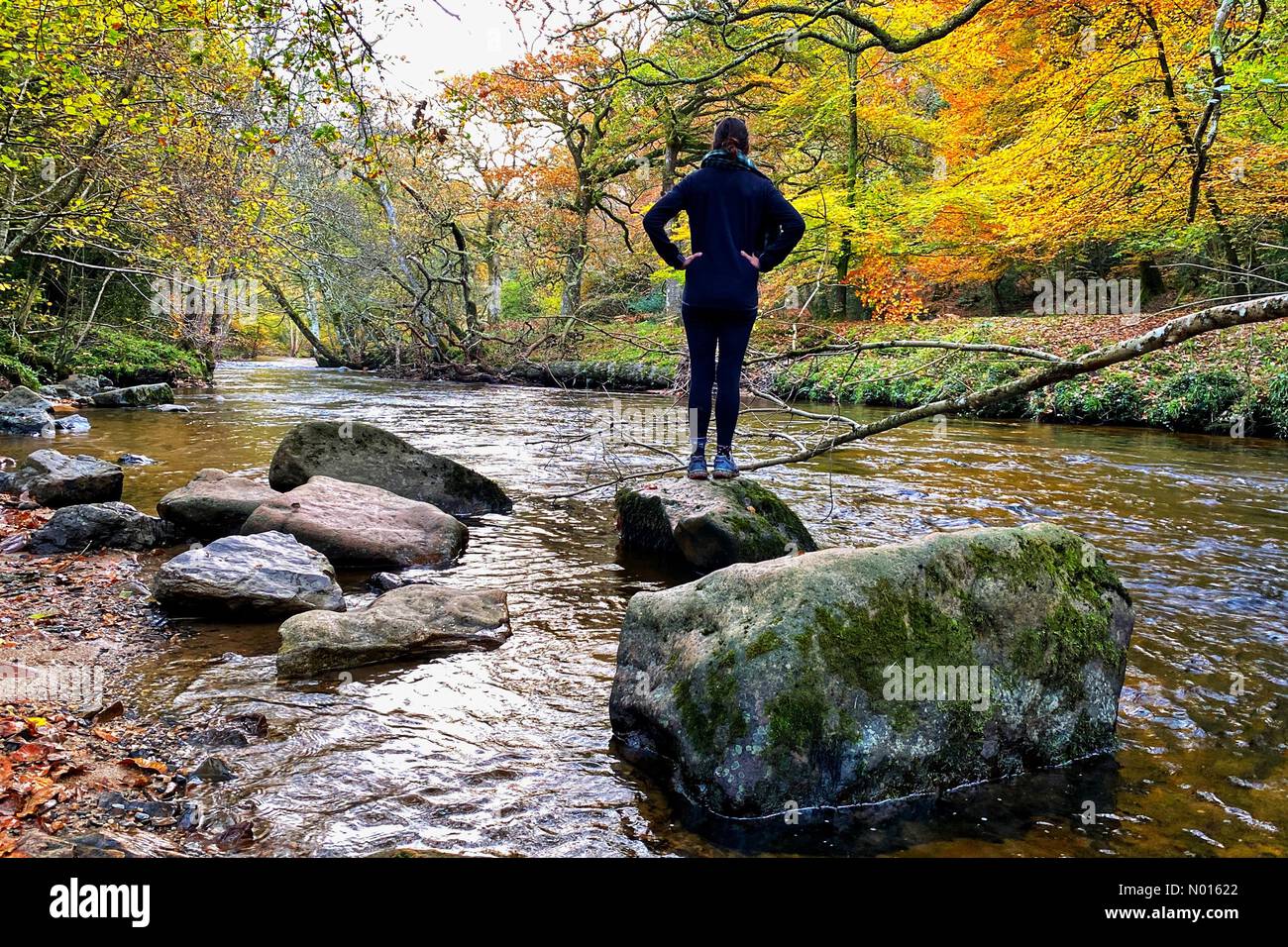 Dunsford, Devon, UK. 13th Nov 2021. UK Weather: Mild calm colourful ...