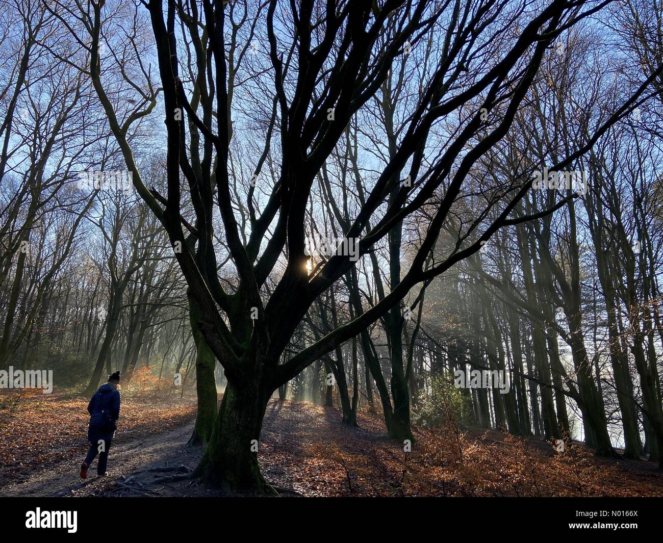 Chorley, Lancashire. 19th Dec 2021. UK Weather: Sunny at Rivington near ...