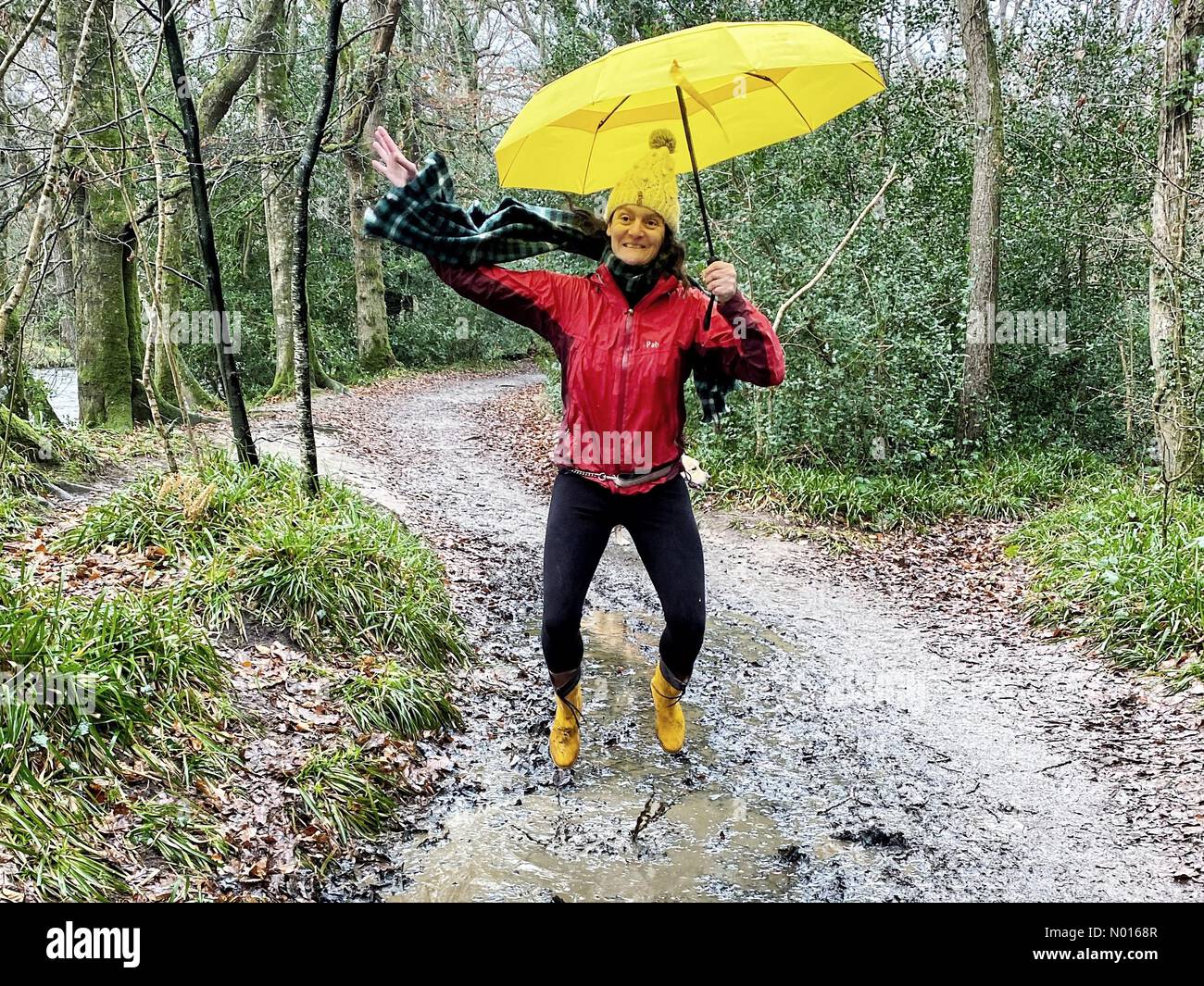 Dunsford woods, Devon, UK. 2nd January, 2021. UK Weather: Puddle ...