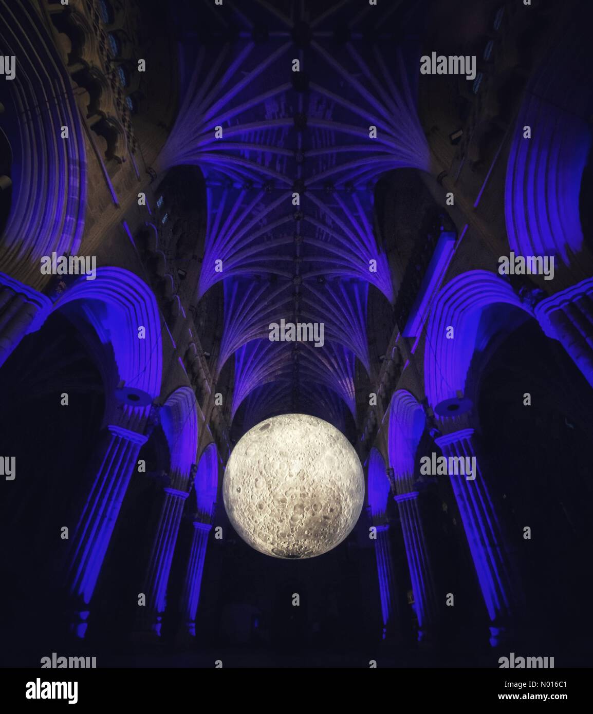 Exeter, Devon, UK. 2nd February, 2022. Press preview. Museum of the ...