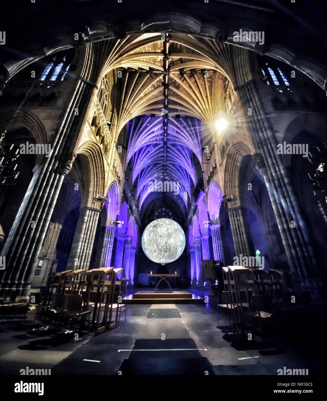 Exeter, Devon, UK. 2nd February, 2022. Press preview. Museum of the ...