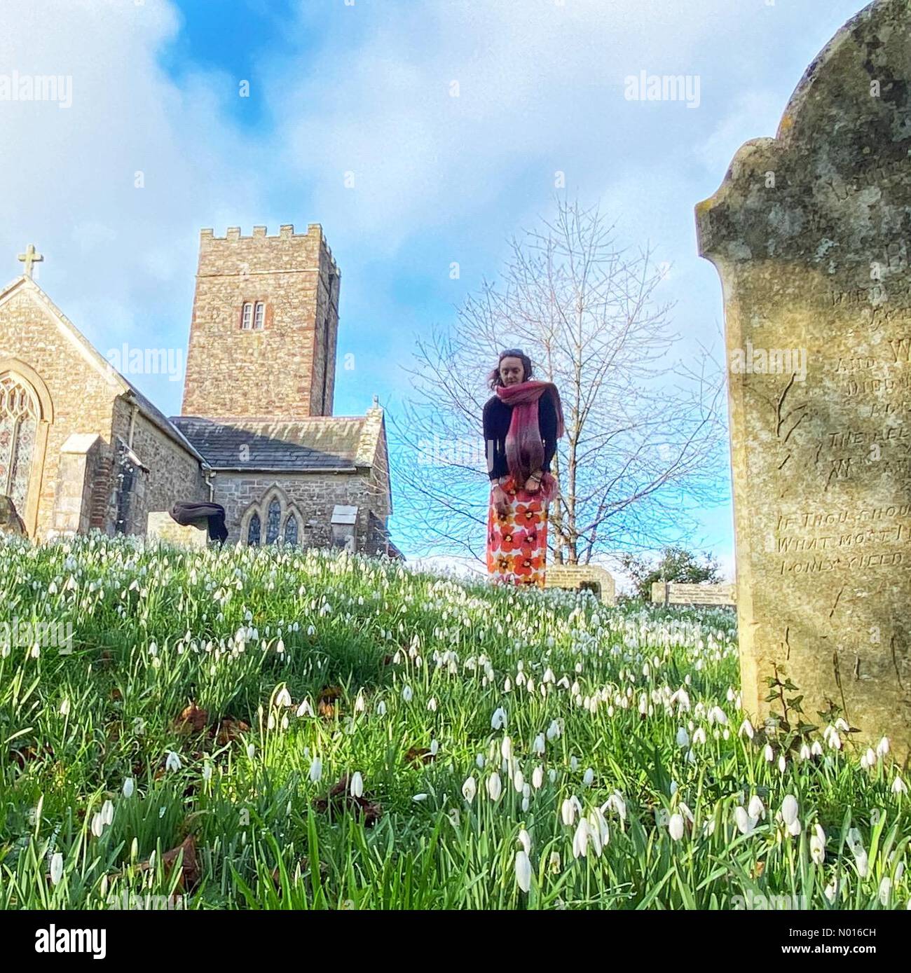 UK Weather: First signs of Spring snowdrops at Ashcombe Church, Devon ...