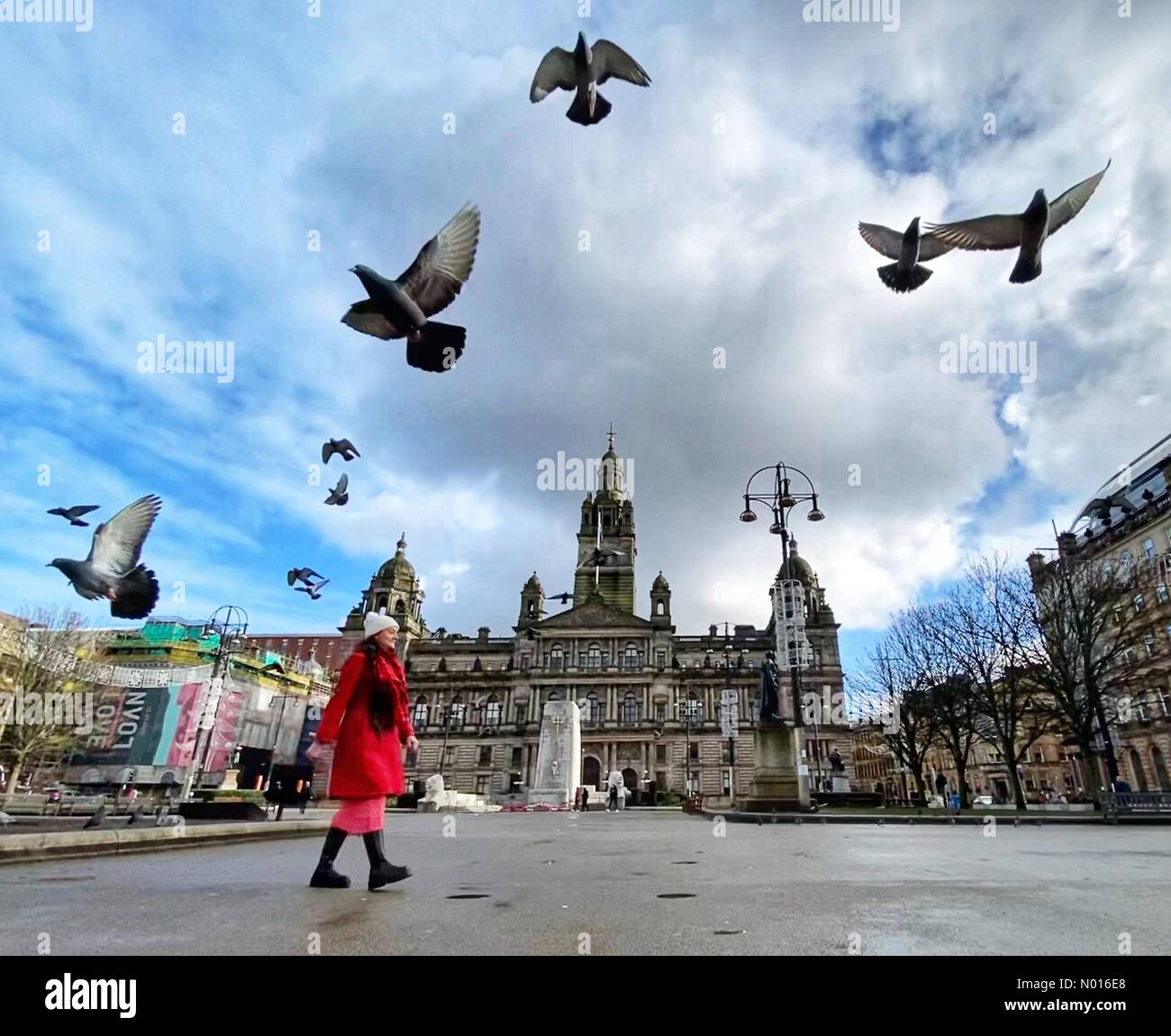 Pigeons swoop and fly over visitors to George Square in Glasgow ...