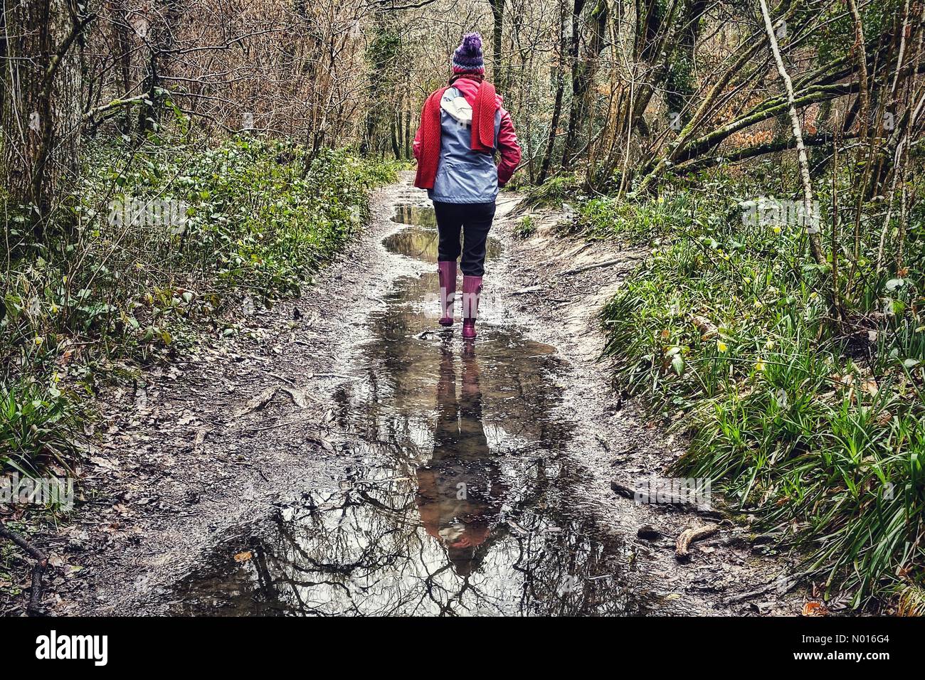 Devon, UK. 11th Mar, 2022. UK Weather: Walking through puddles after ...