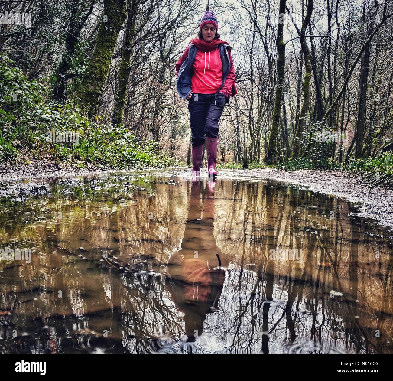Devon, UK. 11th Mar, 2022. UK Weather: Walking through puddles after ...