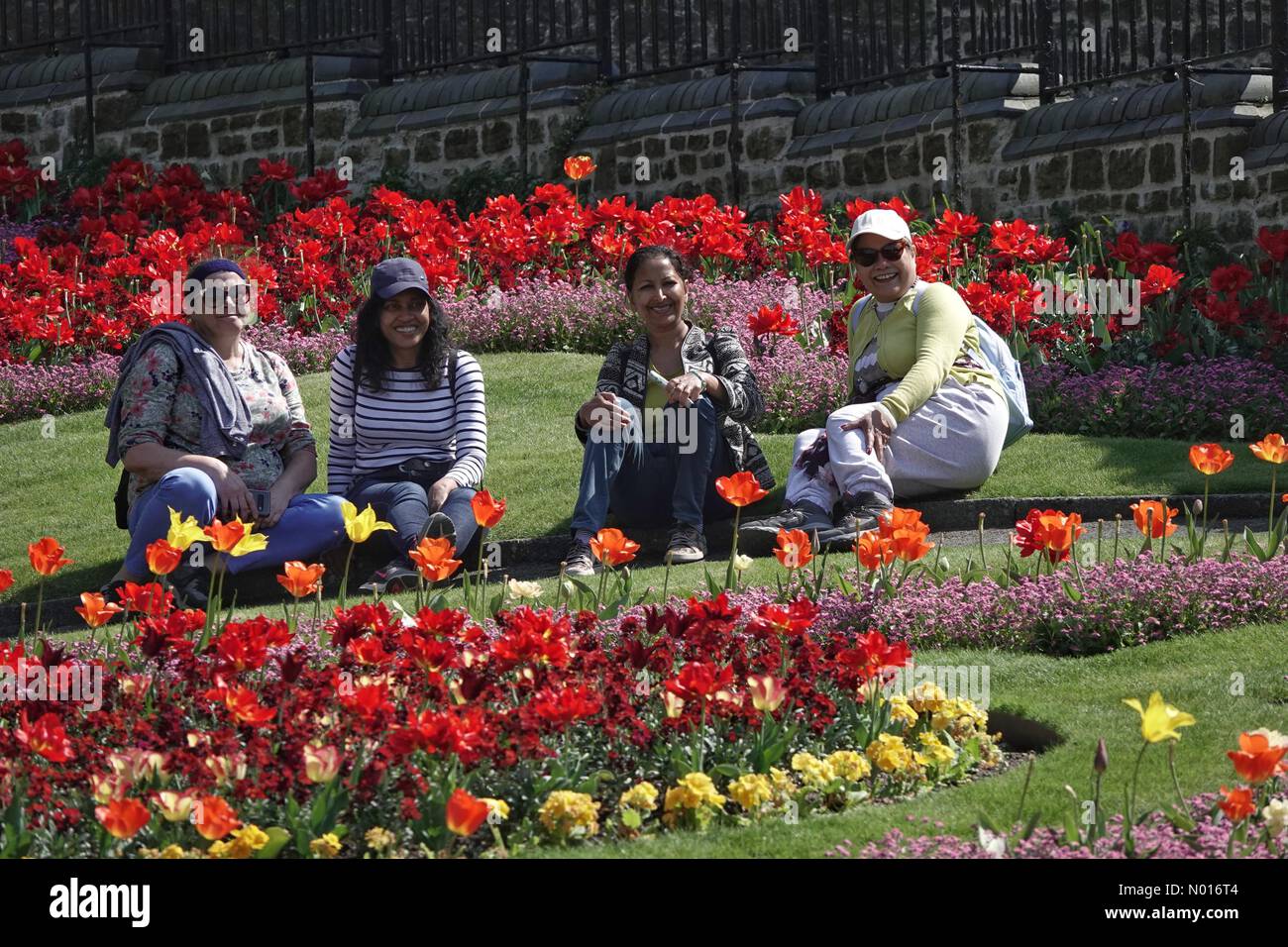 UK Weather: Sunny in Guildford. Castle Grounds, Guildford. 21st April ...