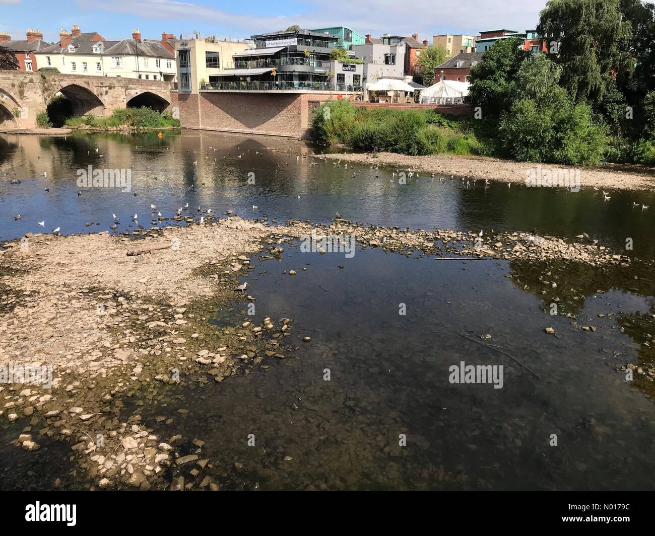 Algae blooms hi-res stock photography and images - Alamy