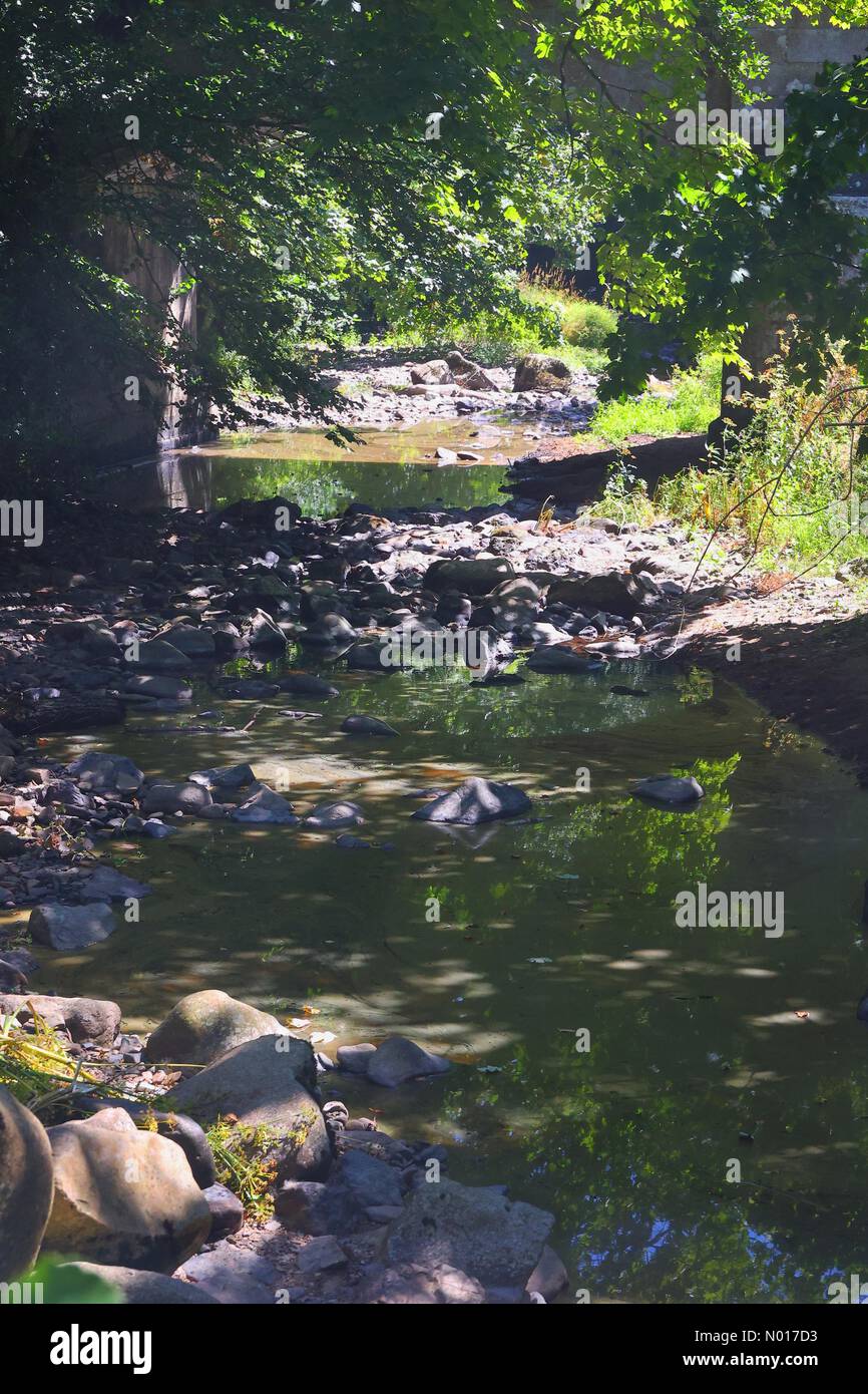 The River Teign near Steps Bridge, Devon, UK in Winter Stock Photo - Alamy
