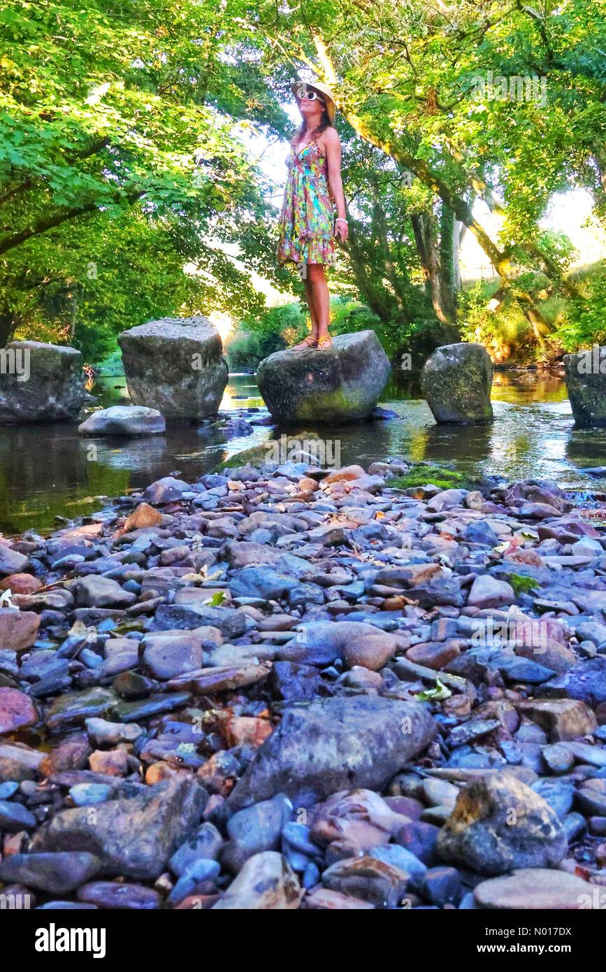 UK Weather: Low River Teign water levels at Dunsford Steps during ...