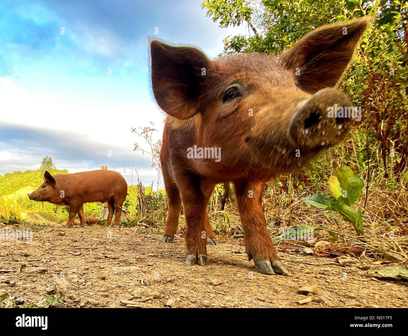 20 august 2022 hi-res stock photography and images - Alamy