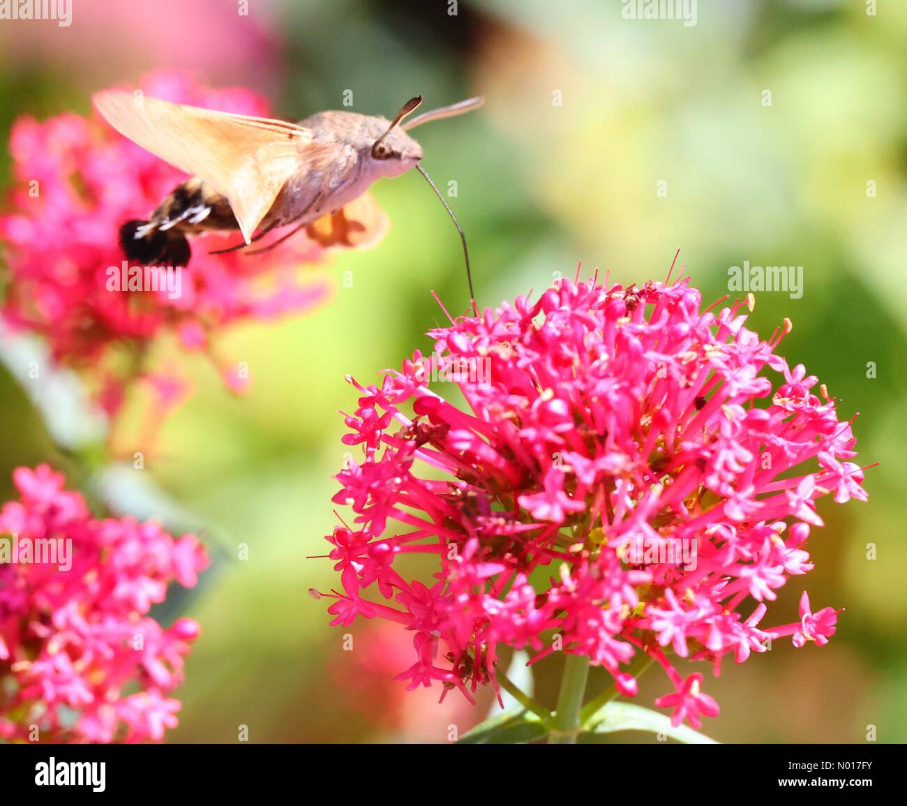 25th august 2022 hi-res stock photography and images - Alamy