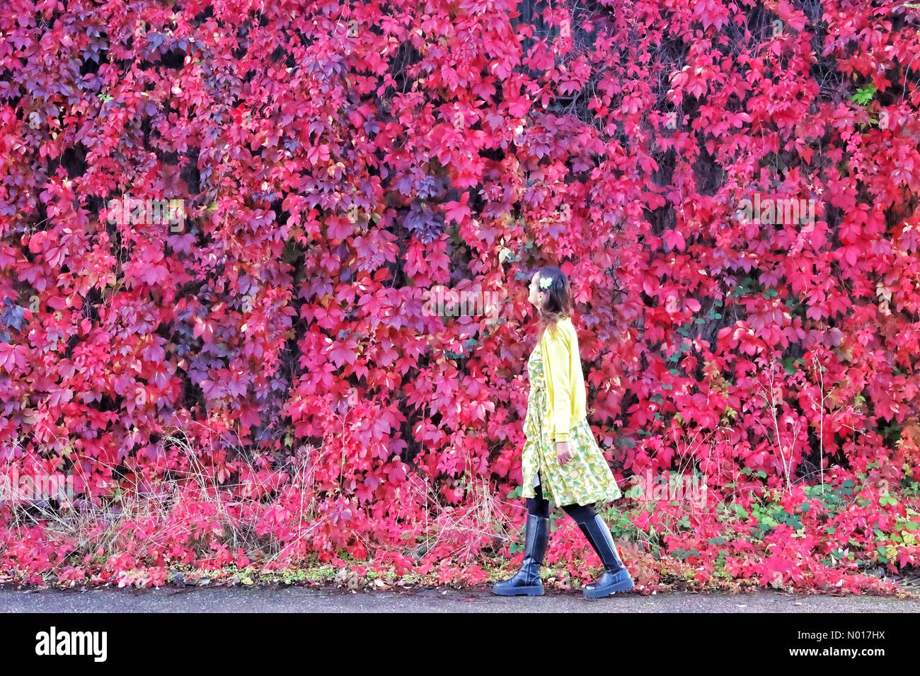Devon, UK. 01 October 2022. UK Weather: Raich Keene enjoys an Autumnal ...