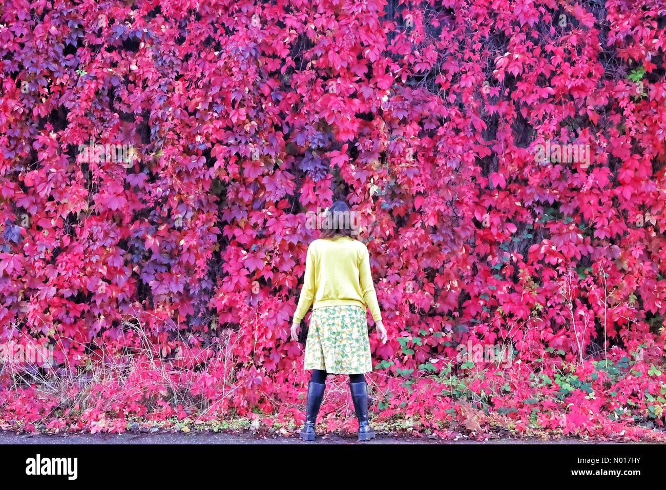 Devon, UK. 01 October 2022. UK Weather: Raich Keene enjoys an Autumnal ...
