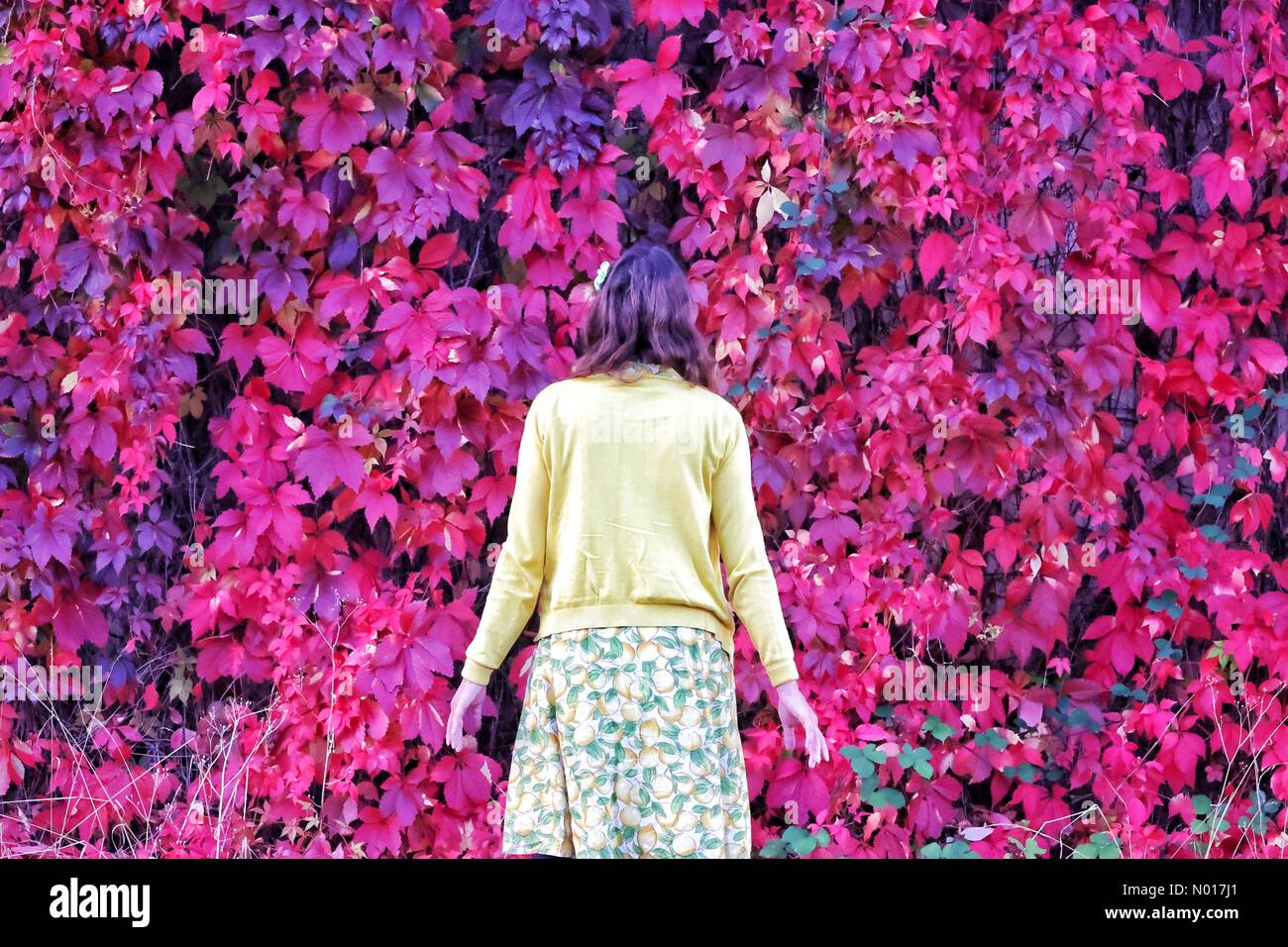 Ide devon hi-res stock photography and images - Alamy