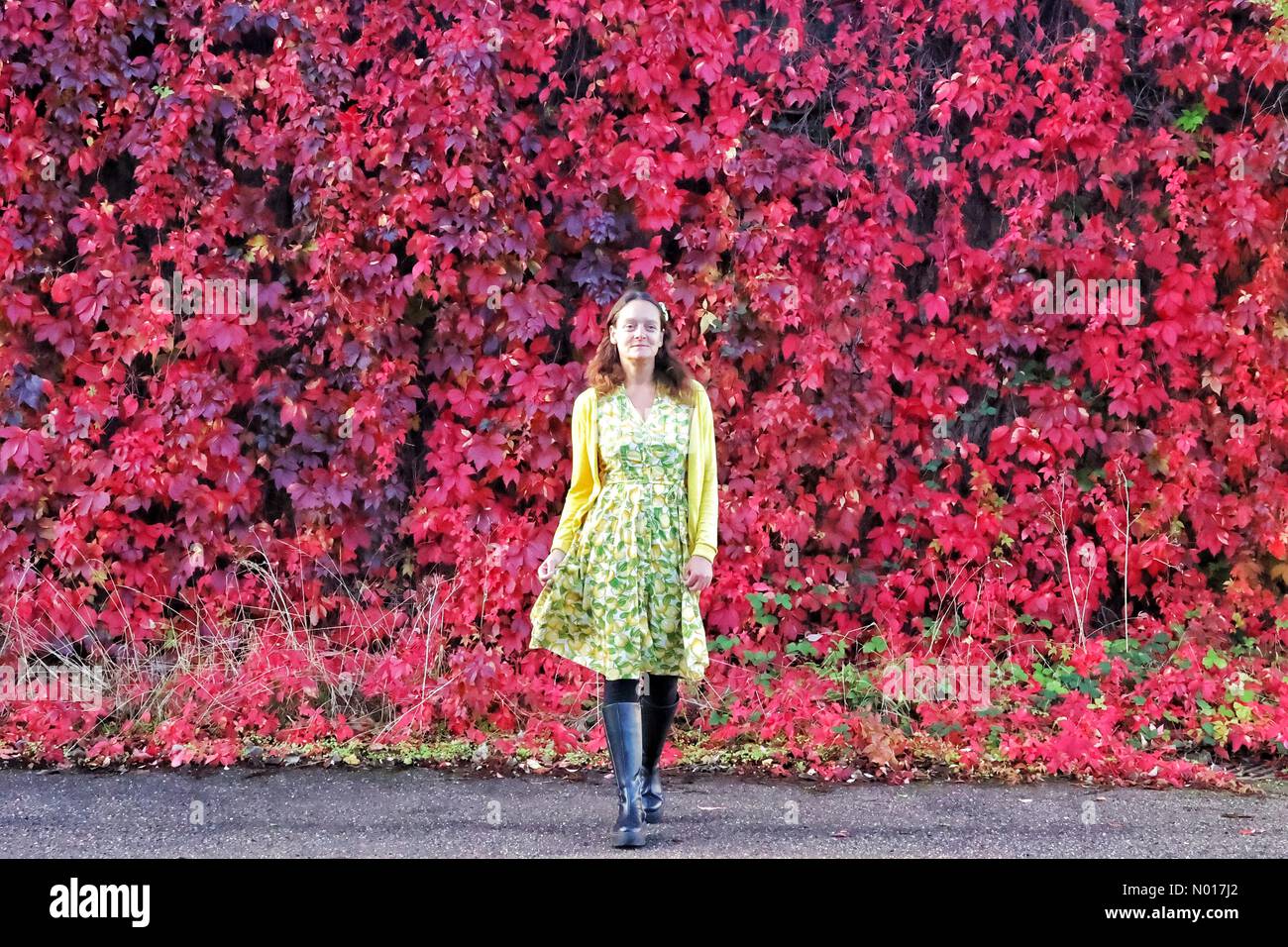 Ide devon hi-res stock photography and images - Alamy