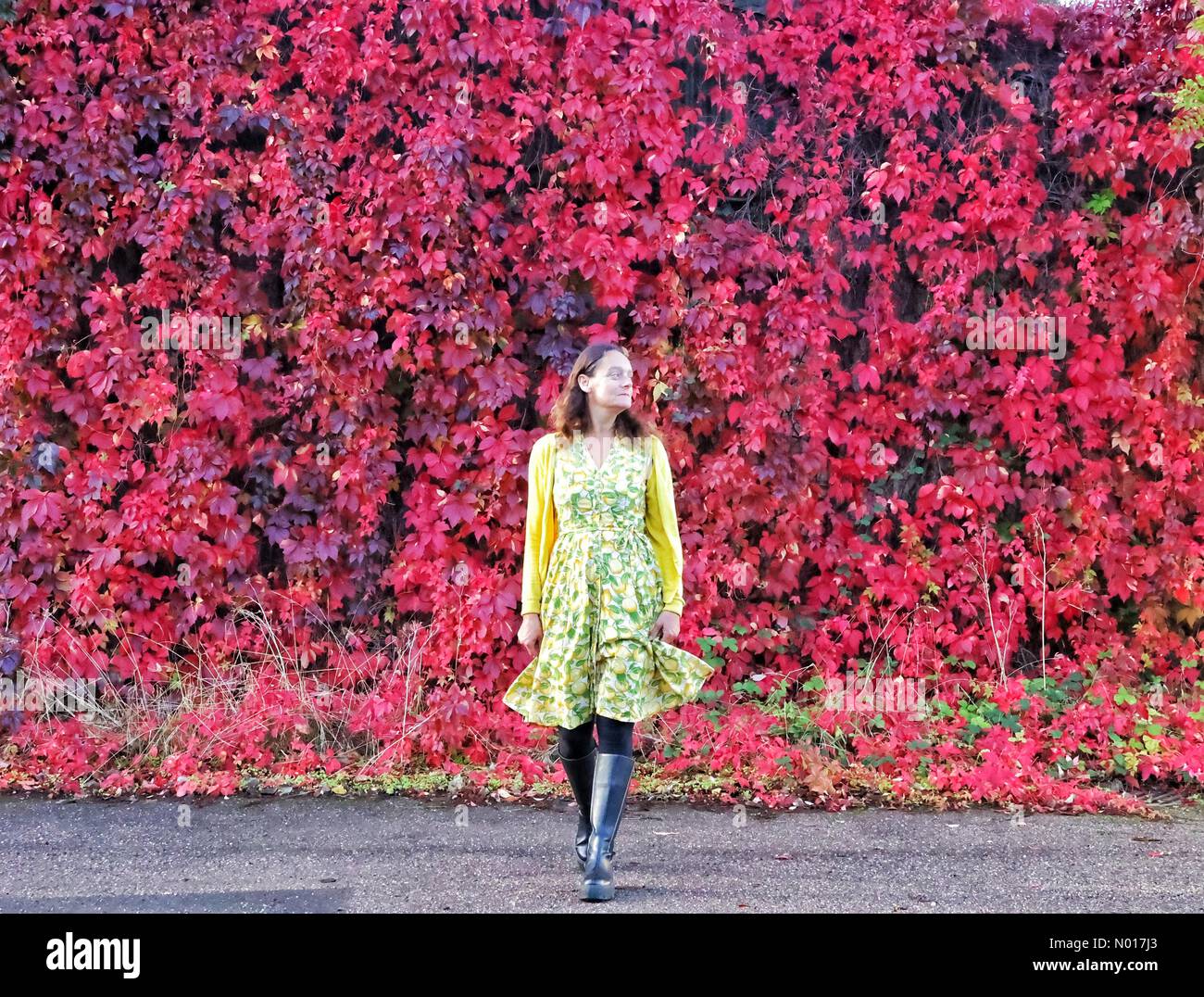 Devon, UK. 01 October 2022. UK Weather: Raich Keene enjoys an Autumnal ...