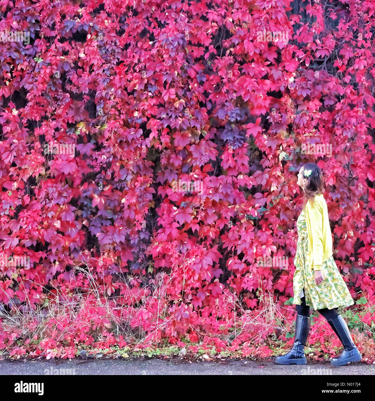 Devon, UK. 01 October 2022. UK Weather: Raich Keene enjoys an Autumnal ...