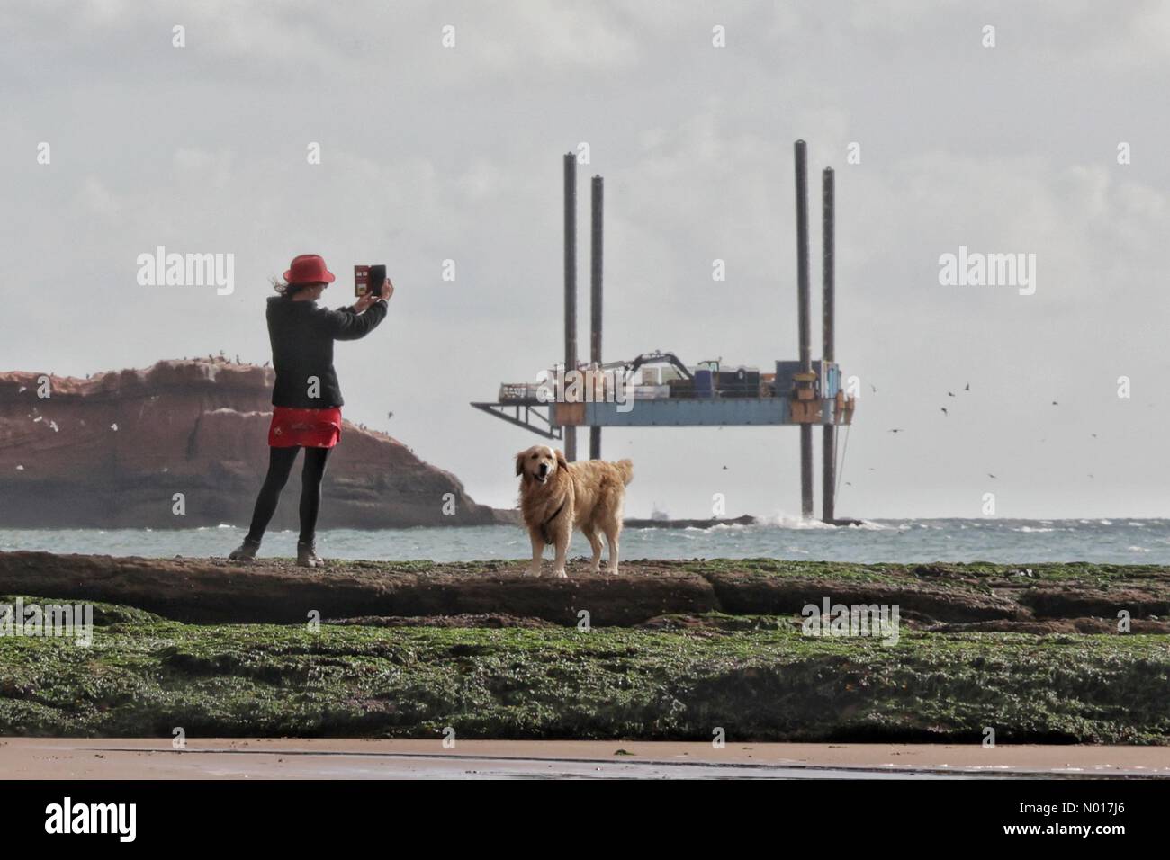 Exmouth beach devon october hi-res stock photography and images - Alamy
