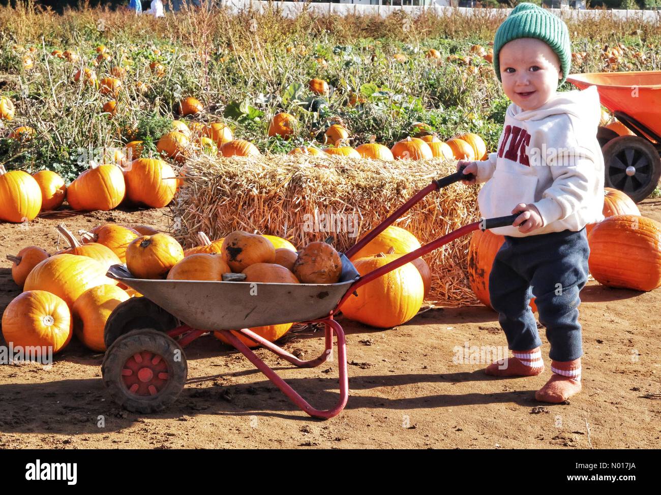 Abingdon, UK. 08th Oct, 2022. Young Bernie Cooper happy with his pile ...