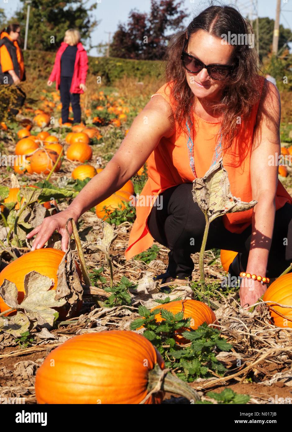 Abingdon millets farm hi-res stock photography and images - Alamy