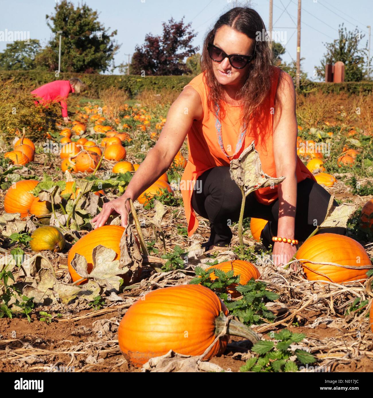 Abingdon millets farm hi-res stock photography and images - Alamy