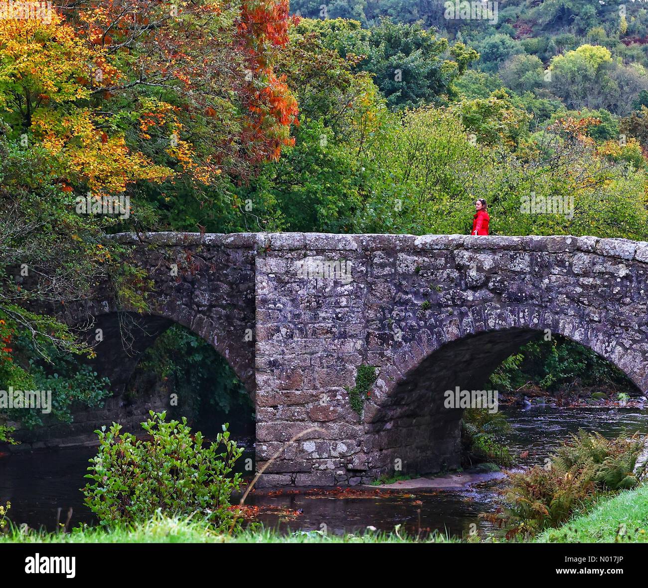 UK Weather: Raich Keene embracing The Fall as Autumn closes in at Spara ...