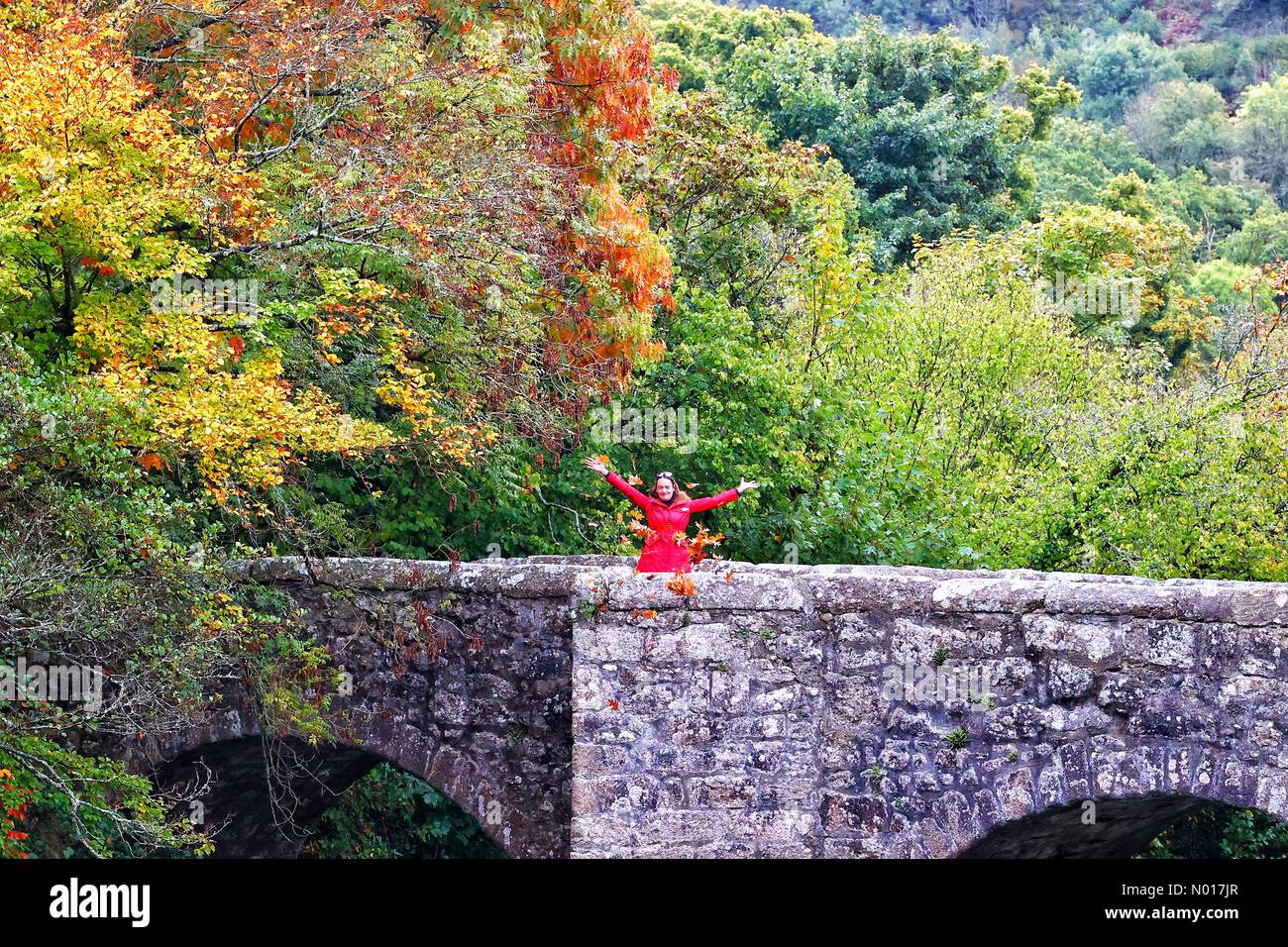 UK Weather: Raich Keene embracing The Fall as Autumn closes in at Spara ...