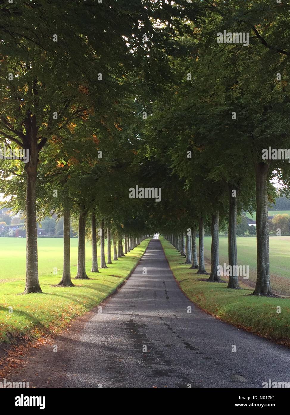 Critchell hi-res stock photography and images - Alamy