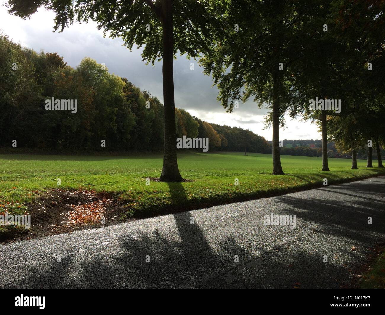 Critchell hi-res stock photography and images - Alamy