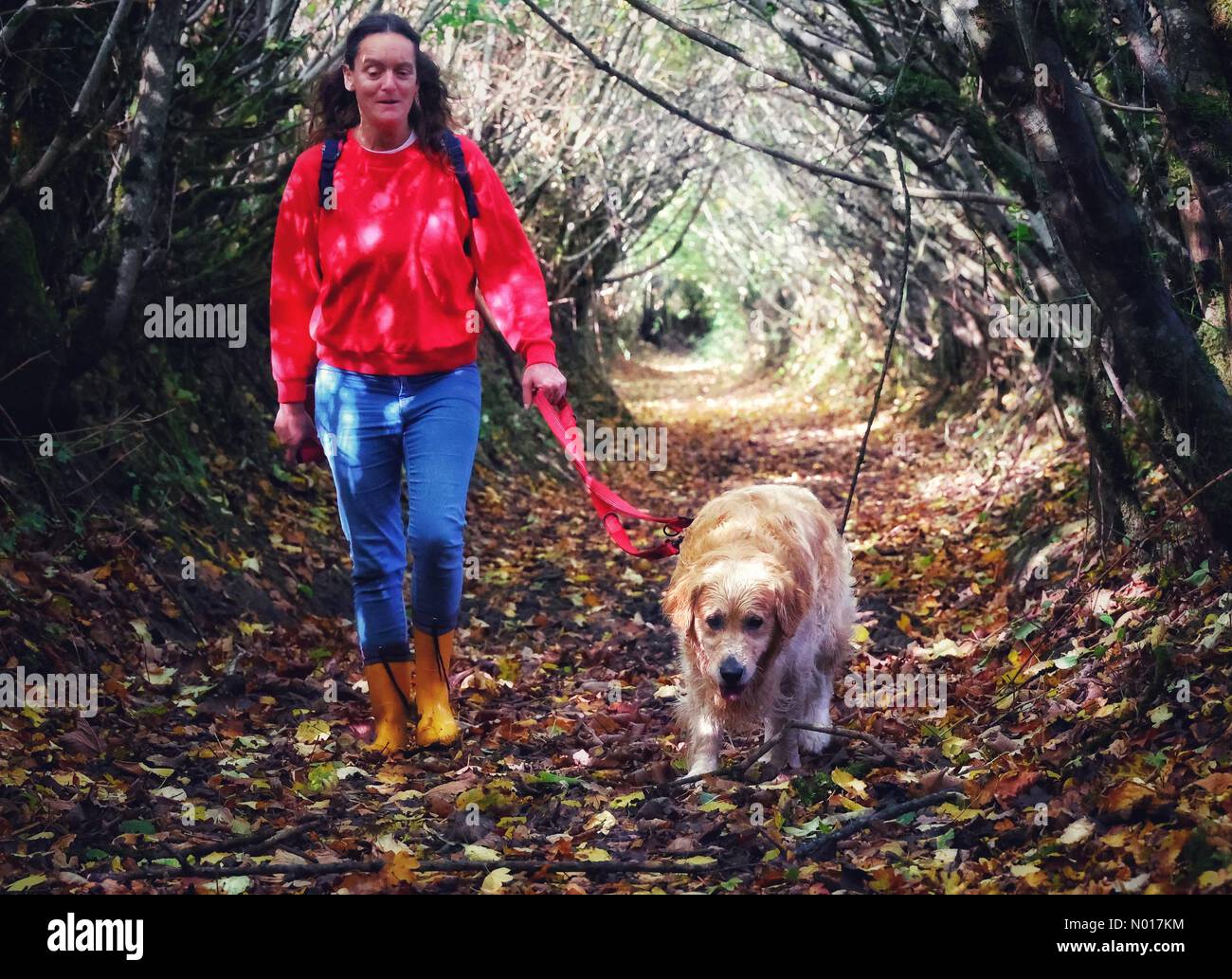 UK Weather: Mild sunny Autumnal dog walk for Raich Keene and Raphael ...