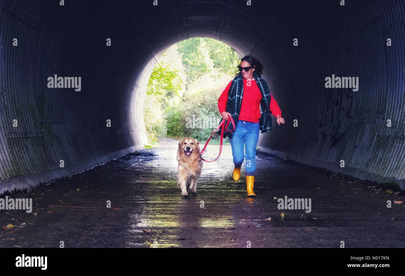 UK Weather: Mild sunny Autumnal dog walk for Raich Keene and Raphael ...