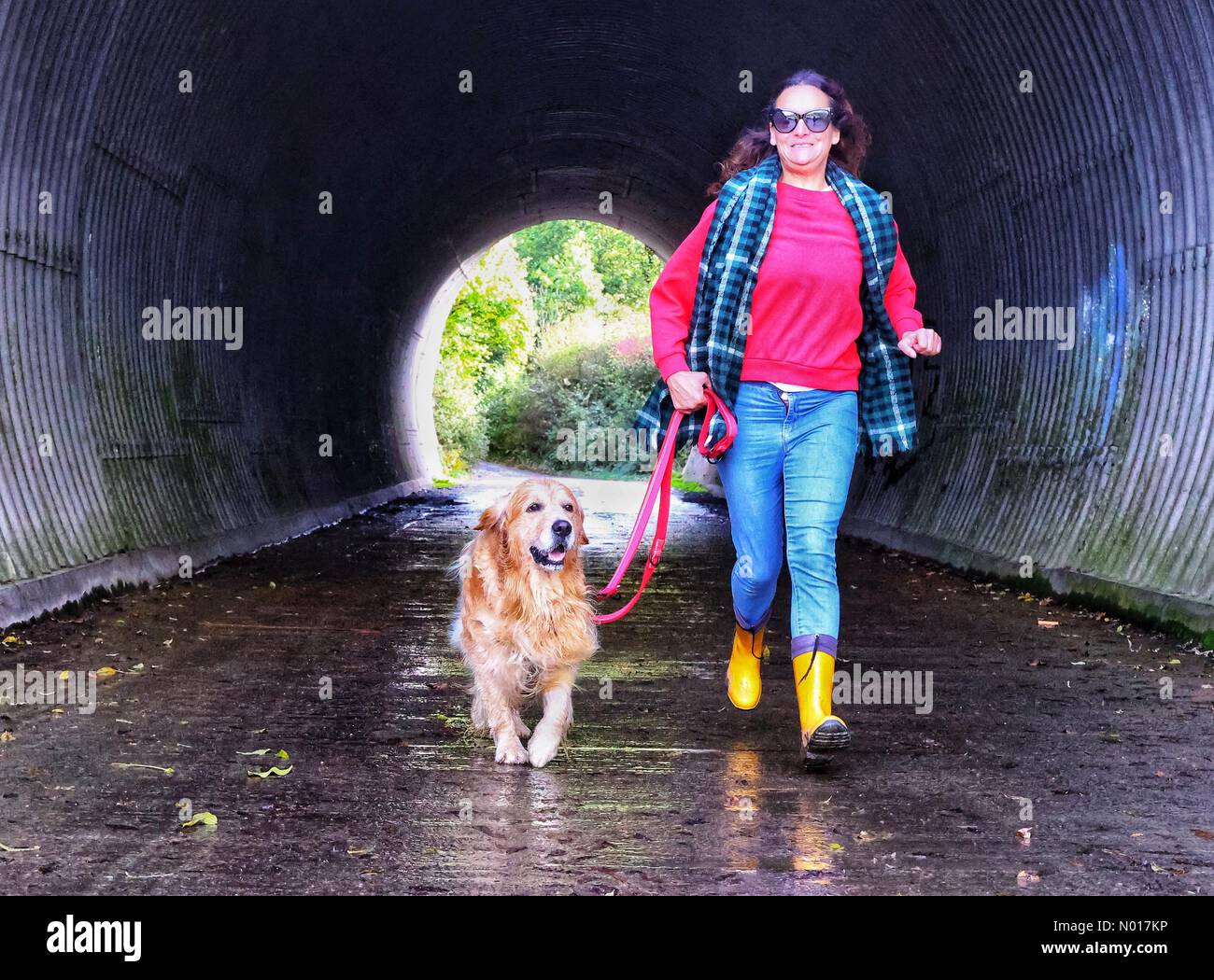 UK Weather: Mild sunny Autumnal dog walk for Raich Keene and Raphael ...