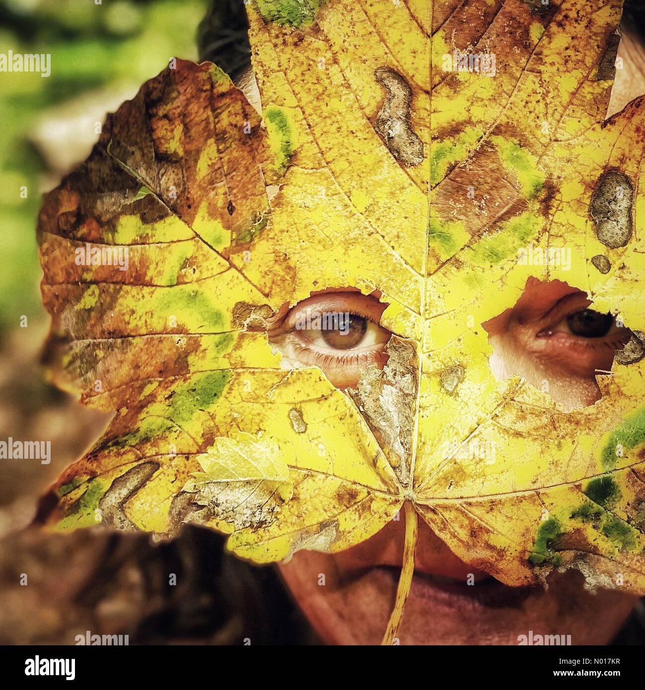UK Weather: This seasons look for Raich Keene with Autumnal leaf mask ...