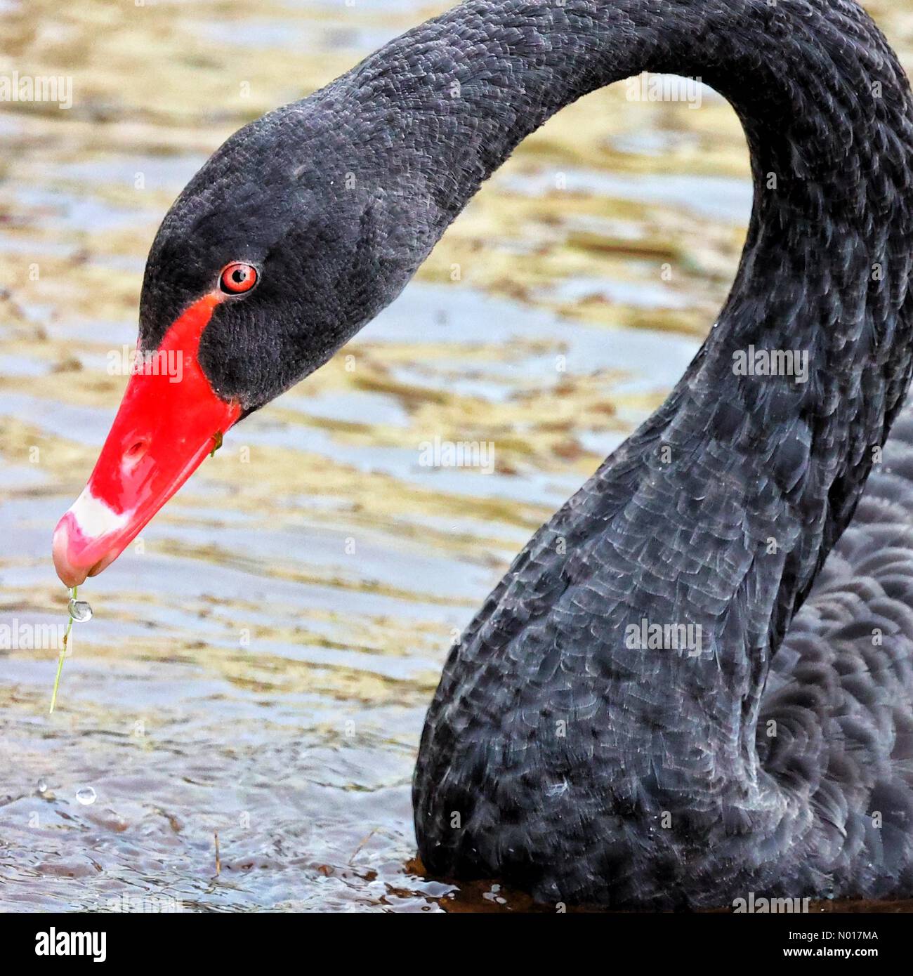 10 november 2022 hi-res stock photography and images - Alamy