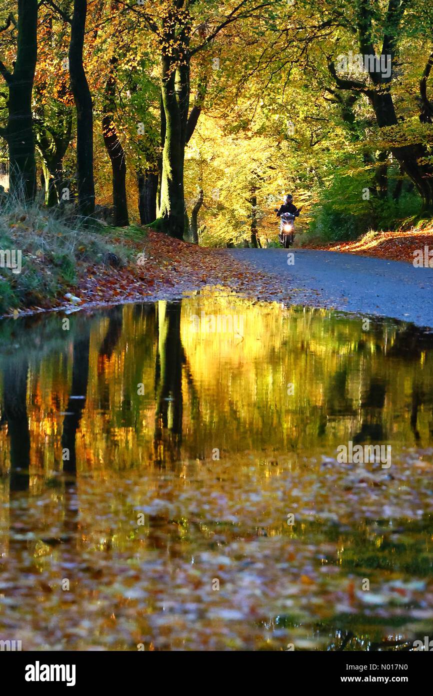UK Weather: Warm Autumn reflections after heavy rainfall in Haldon ...