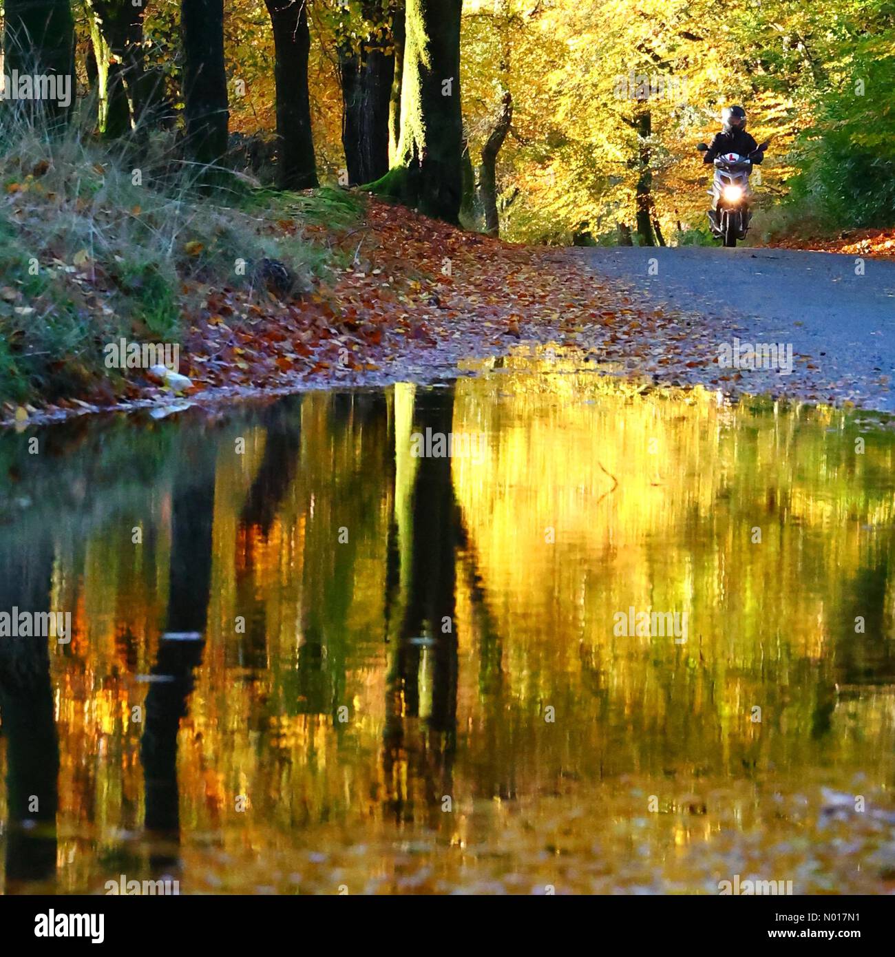 17 november 2022 hi-res stock photography and images - Alamy