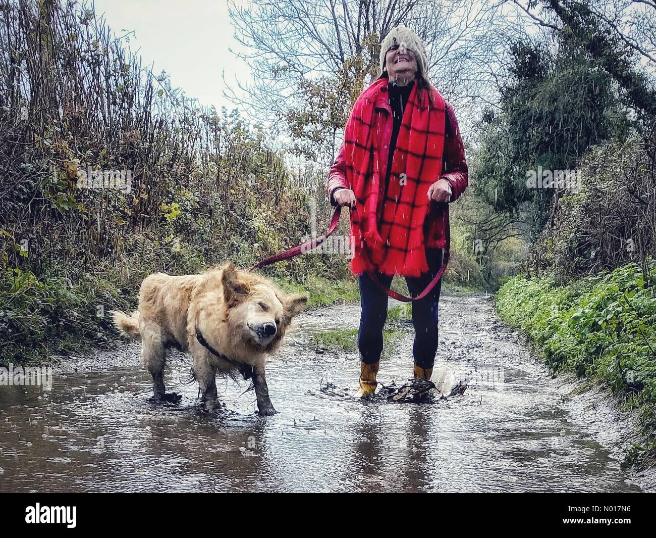 20 november 2022 hi-res stock photography and images - Alamy