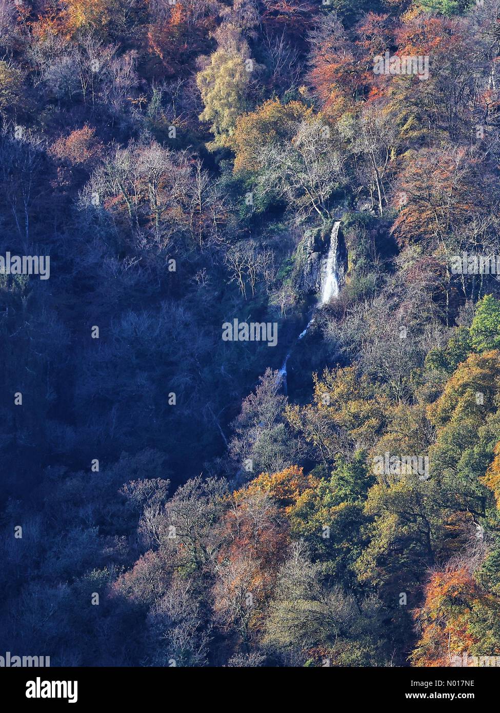 Canonteign Falls cascade through Autumn trees in Dartmoor National Park ...