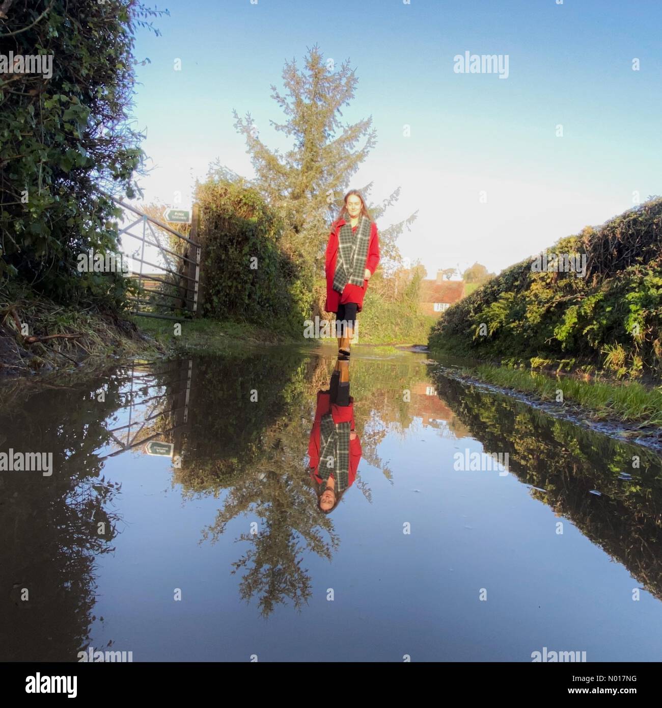 25 november 2022 hi-res stock photography and images - Alamy