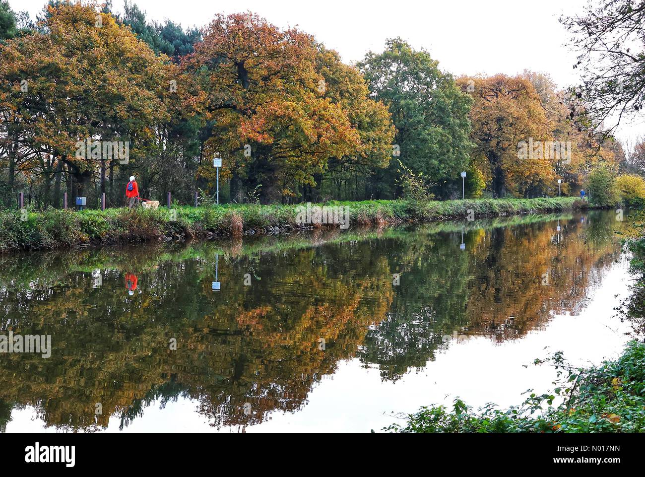 Exeter, Devon, UK. 30 November, 2022. UK Weather: Autumn reflections on ...