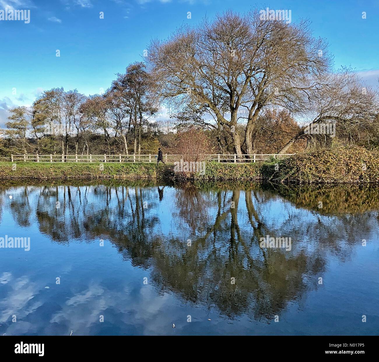 UK Weather: Autumnal reflections at Exeter ship canal, Devon, UK. 6 ...