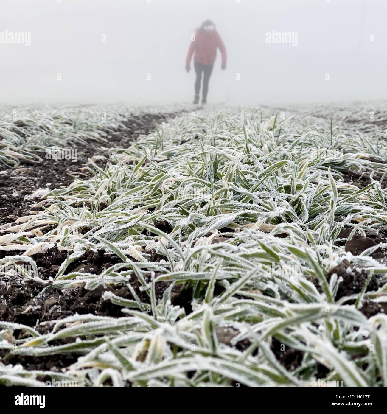 UK Weather: Raich Keene wrapped up on a freezing morning walk at ...