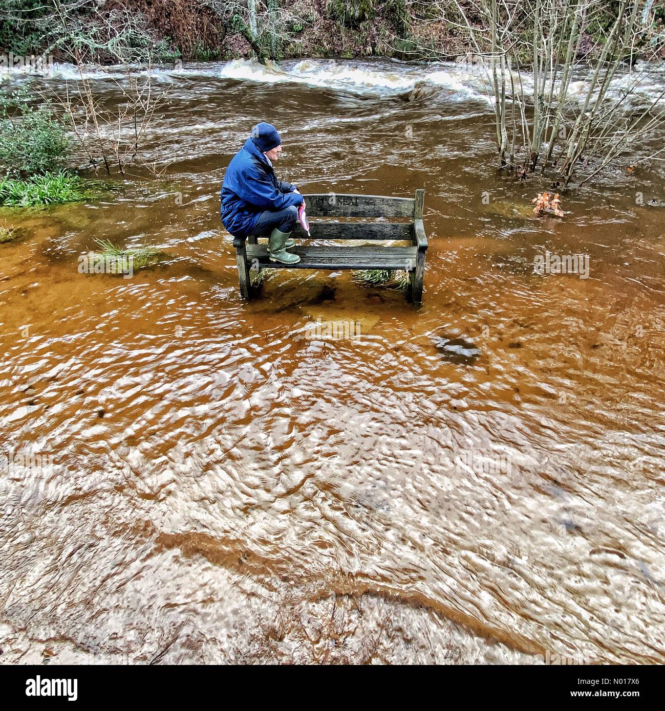 UK Weather: Marooned in flood near Fingle Bridge, River Teign, Dartmoor ...