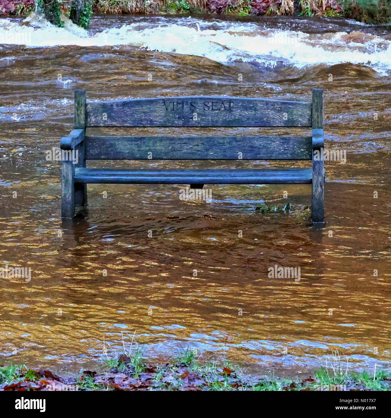 UK Weather: Vins Seat Bench marooned after River Teign bursts banks ...