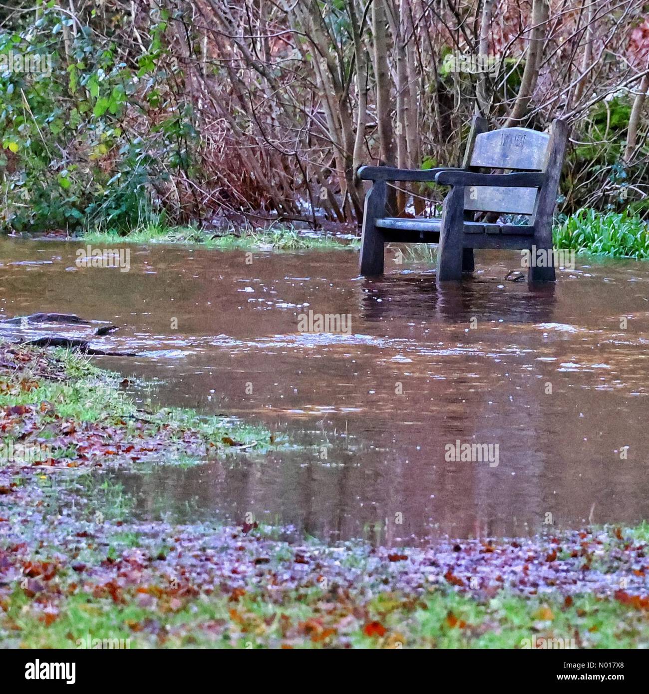 UK Weather: Vins Seat Bench marooned after River Teign bursts banks ...